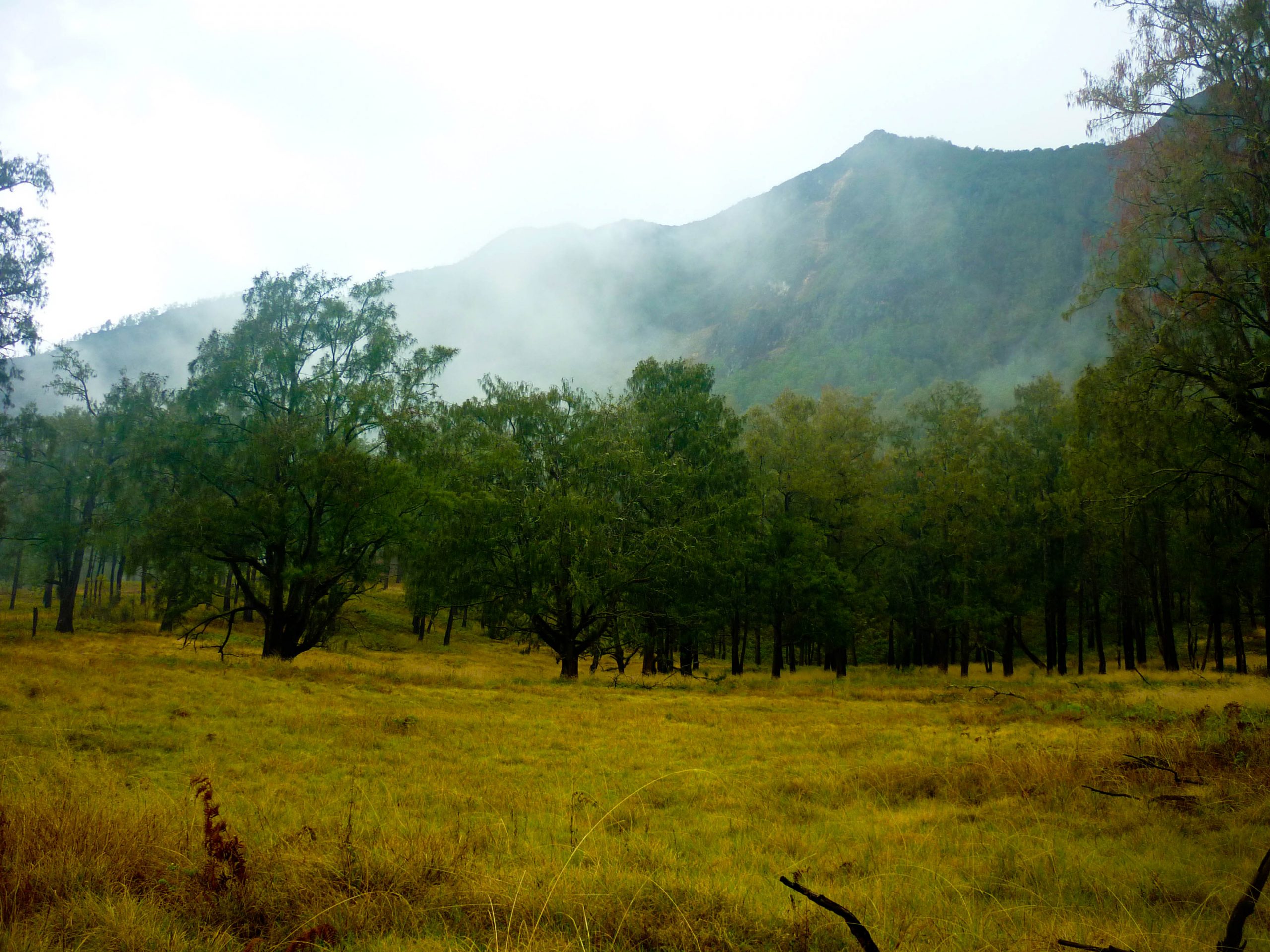 PAKET PENDAKIAN ARJUNO WELIRANG / MT ARJUNO WELIRANG TREKKING PACKAGE ...